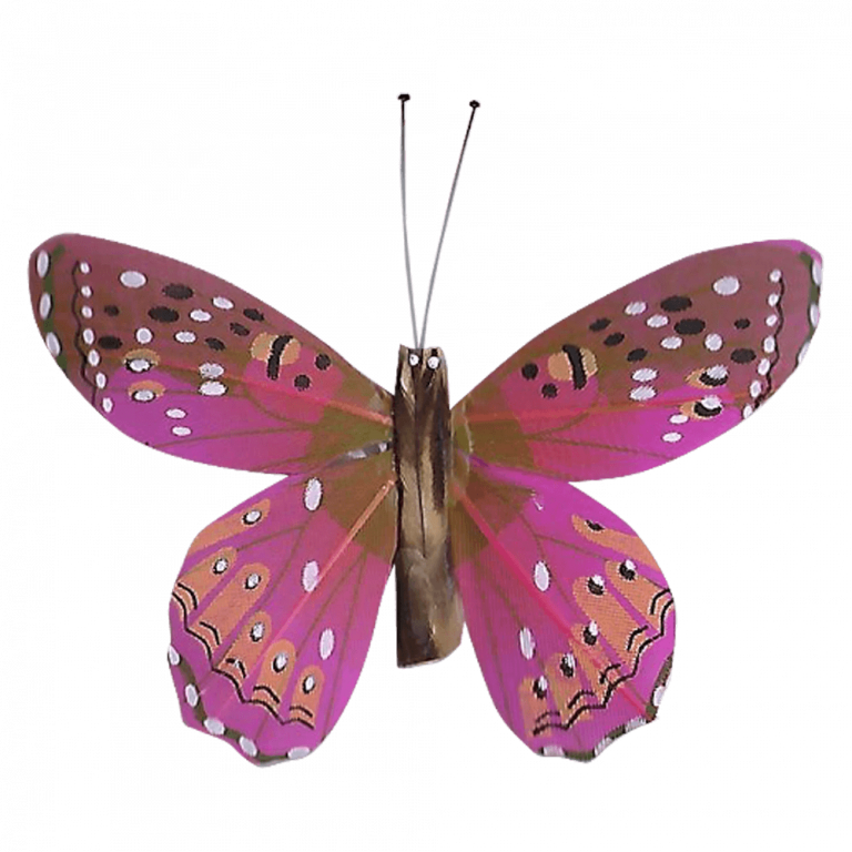 Papillon Volant Incliné vers le Soleil : HélioBil