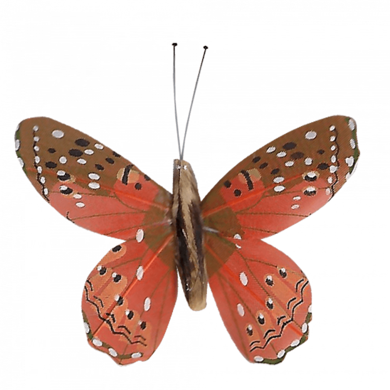 Papillon Volant Incliné vers le Soleil : HélioBil