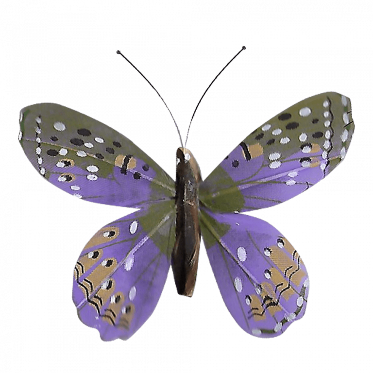 Papillon Volant Incliné vers le Soleil : HélioBil