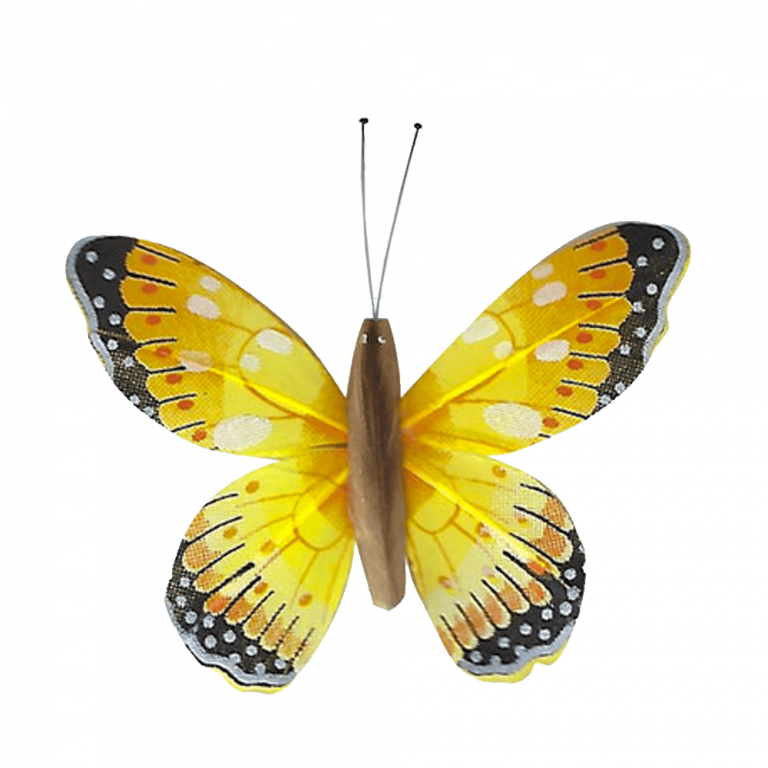 Papillon Volant Incliné vers le Soleil : HélioBil