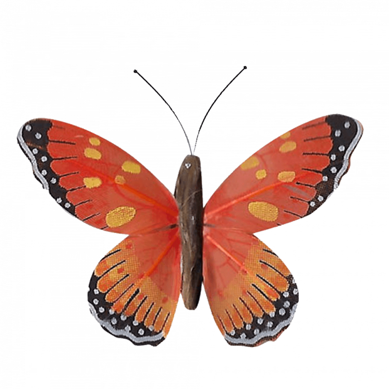 Papillon Volant Incliné vers le Soleil : HélioBil