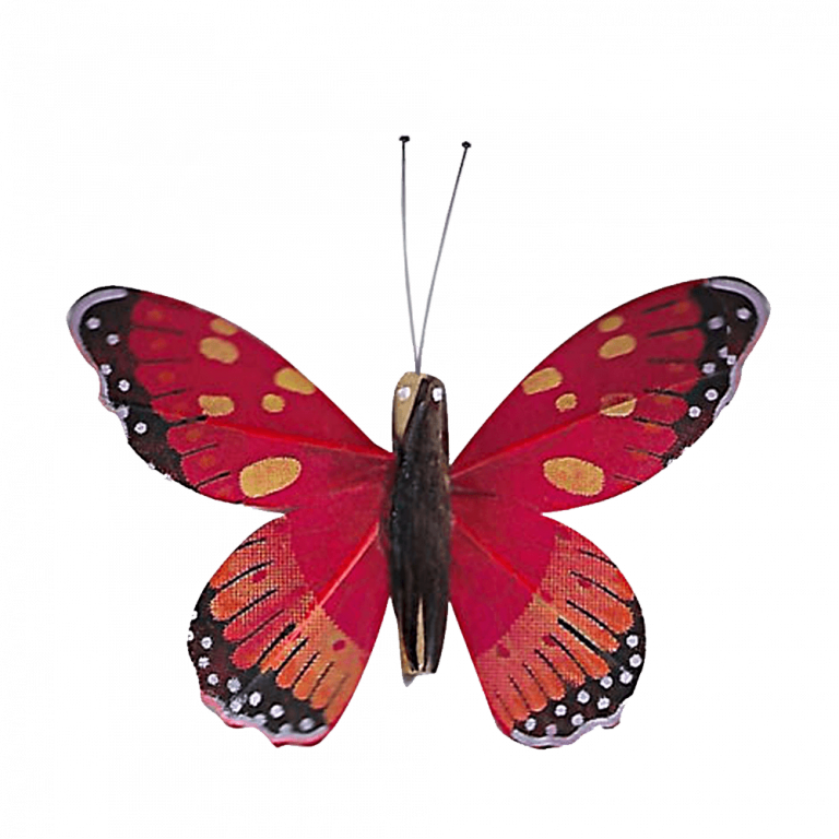 Papillon Volant Incliné vers le Soleil : HélioBil